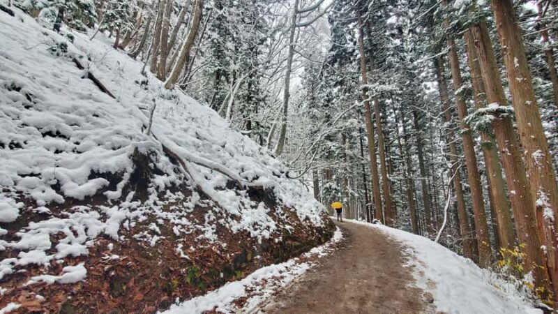 Tokyo: Snow Monkeys, Zenkoji Temple, & Obuse Day Trip - Final Thoughts: Who Is This Tour For?