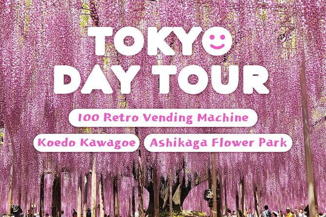 Tokyo Spring: Ashikaga Flower Park, Kawagoe & 100 Vending Machine - Exploring Tokyos Hidden Charms: A Review of the Spring Tour to Ashikaga Flower Park, Kawagoe & Vintage Vending Machines