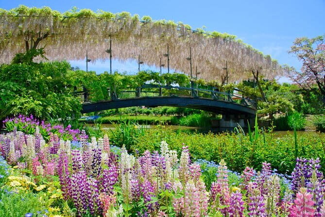 Tokyo Spring: Ashikaga Flower Park, Kawagoe & 100 Vending Machine - FAQ