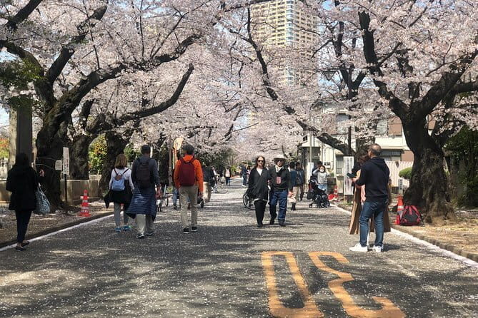Tokyo Spring Daytime (Cherry Blossom) Food Tour - An In-depth Look at the Tour Experience