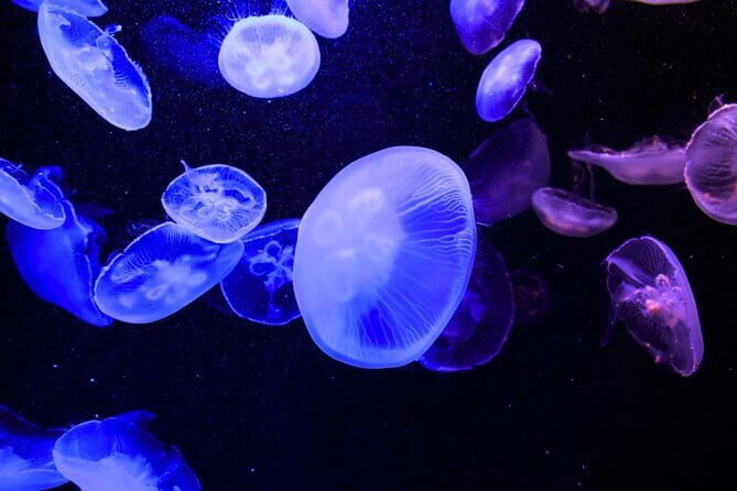 Tokyo Sumida Aquarium E-Ticket with Optional Tokyo Metro Pass - Frequently Asked Questions