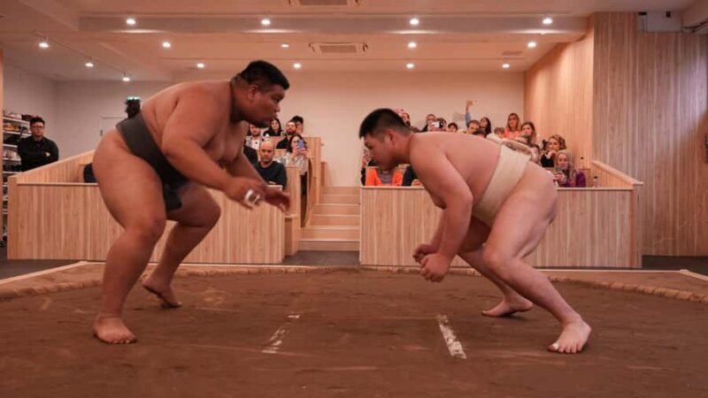 Tokyo: Sumo Experience - Live Matches, Challenge & Photo - Final Thoughts