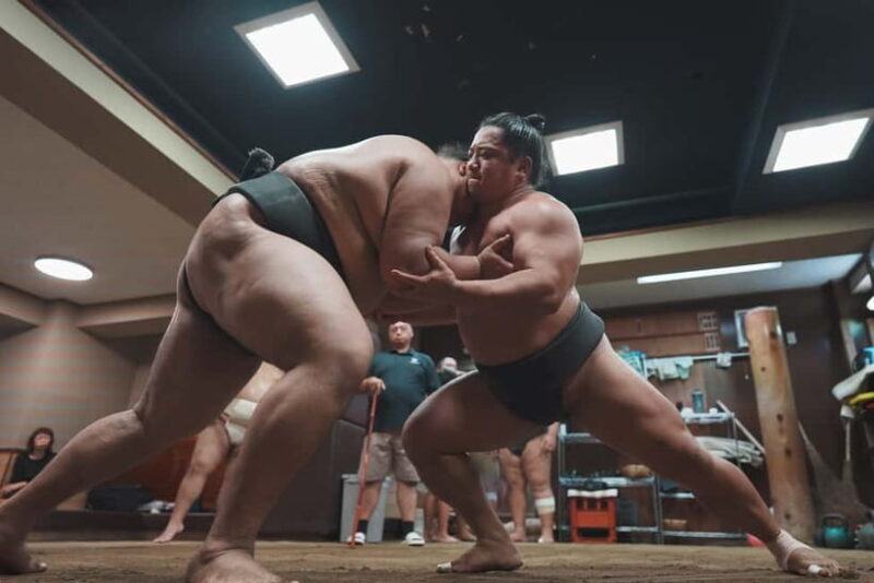 Tokyo: Sumo Keiko Training Tour with Audio Guide & Photo - Final Thoughts: Who Will Love This?