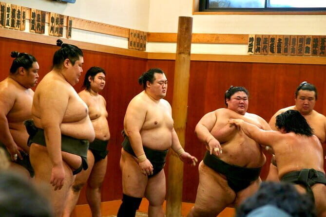 Tokyo Sumo Morning Practice & Exclusive Behind-the-Scenes Access - Key Points