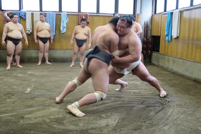 Tokyo Sumo Morning Practice in Ryogoku + Photo Shoot w/ Wrestlers - Introduction