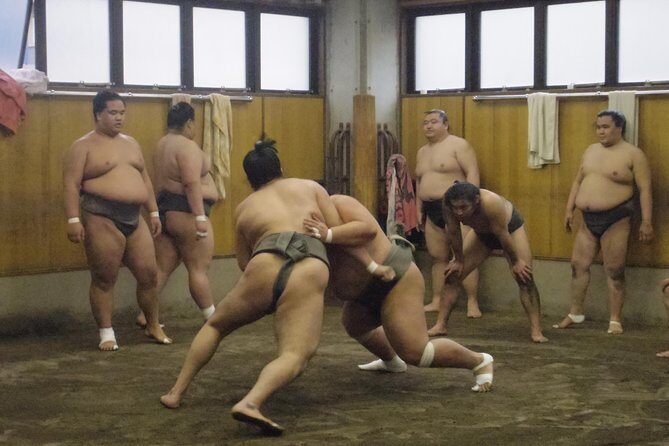 Tokyo Sumo Morning Practice Tour at Stable - An In-Depth Look at the Experience