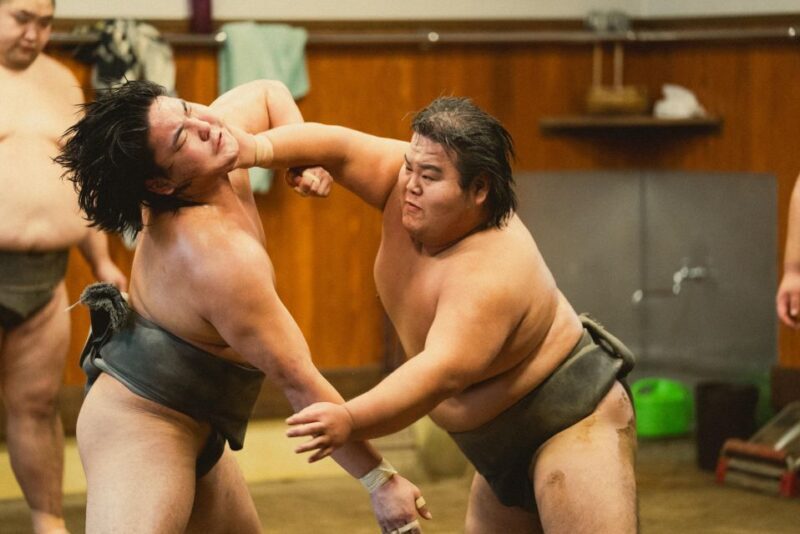 Tokyo: Sumo Morning Practice Tour at Sumida City - The Basics: What’s Included and How It Works