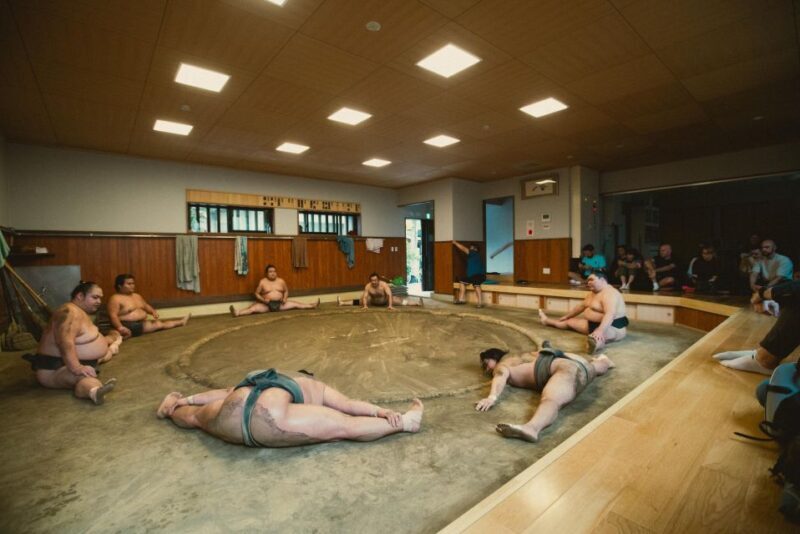 Tokyo: Sumo Morning Practice Tour at Sumida City - Who Will Love This Tour?