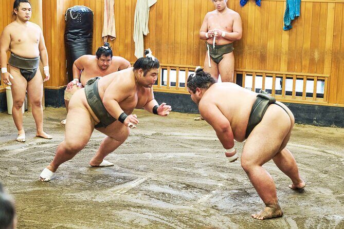 Tokyo: Sumo Morning Practice Viewing Tour at a Real Stable - Key Points