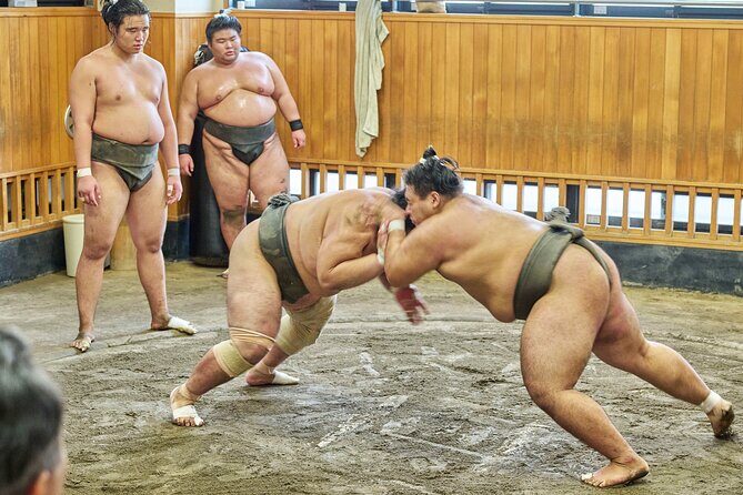 Tokyo: Sumo Morning Practice Viewing Tour at a Real Stable - Authenticity, Education, and Respect