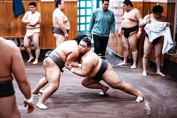 Tokyo: Sumo Morning Practice Viewing Tour at a Real Stable - Who Will Appreciate This Tour?