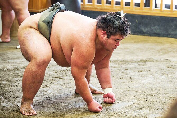 Tokyo: Sumo Morning Practice Viewing Tour at a Real Stable - The Sum Up