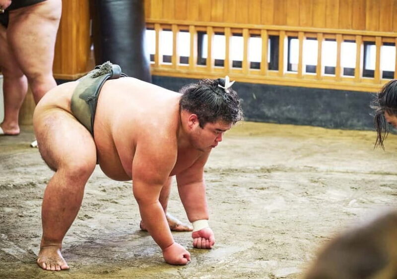 Tokyo: Sumo Morning Practice Viewing Tour at a Real Stable - Key Points