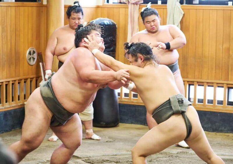 Tokyo: Sumo Morning Practice Viewing Tour at a Real Stable - The Practicalities and Value