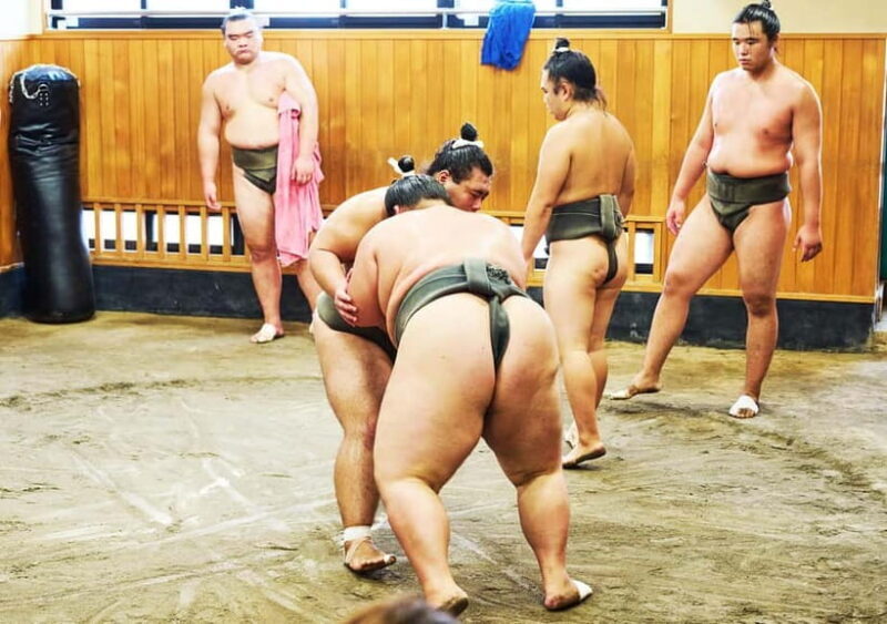 Tokyo: Sumo Morning Practice Viewing Tour at a Real Stable - Authenticity, Education, and Engagement: What Our Reviews Say