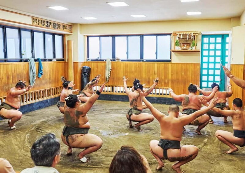 Tokyo: Sumo Morning Practice Viewing Tour at a Real Stable - Who Should Book This Tour?