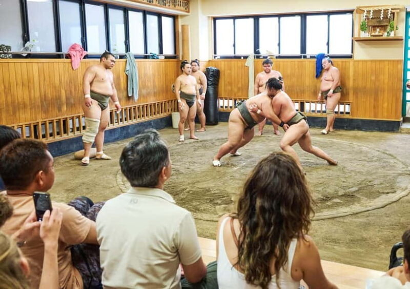 Tokyo: Sumo Morning Practice Viewing Tour at a Real Stable - The Sum Up: Why This Tour Matters