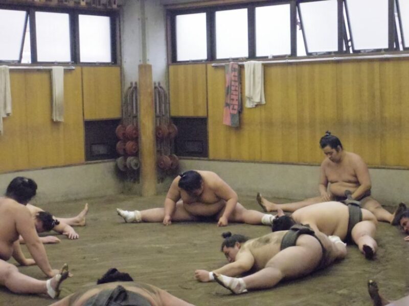 Tokyo: Sumo Morning Practice Viewing Tour - An In-Depth Look at What the Tour Offers
