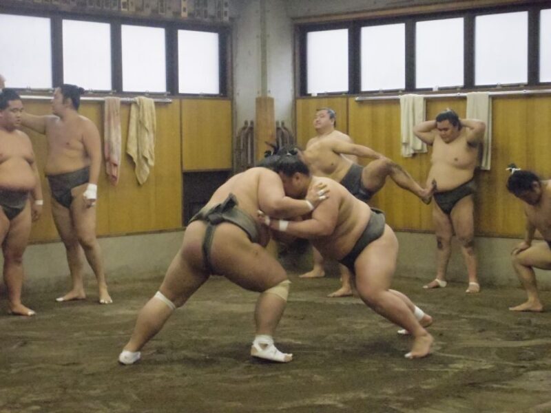 Tokyo: Sumo Morning Practice Viewing Tour - The Experience: Realities and Recommendations