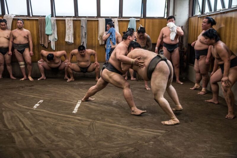 Tokyo: Sumo Morning Practice Viewing Tour - Who Should Definitely Consider This Tour?