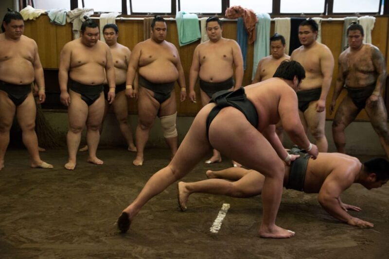 Tokyo: Sumo Morning Practice Viewing Tour - The Sum Up