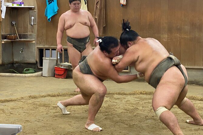 Tokyo Sumo Morning Practice with Guide  Ringside Live Training - A Closer Look at the Experience