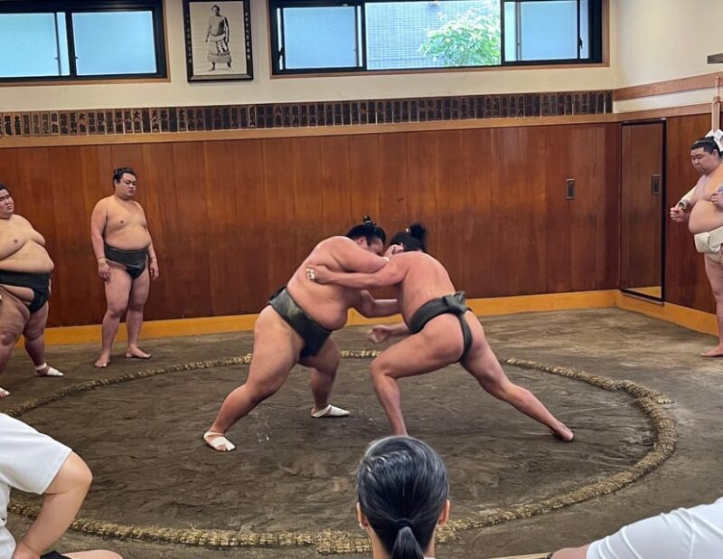 Tokyo: Sumo Morning Practice with Photo Banzuke and Guide - Introduction