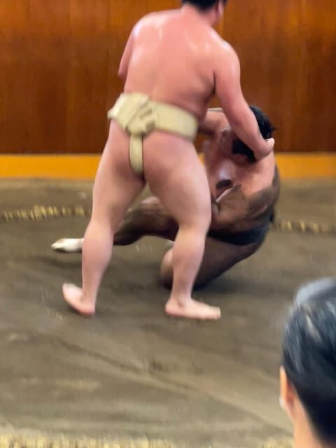 Tokyo: Sumo Morning Practice with Photo Banzuke and Guide - Itinerary Breakdown