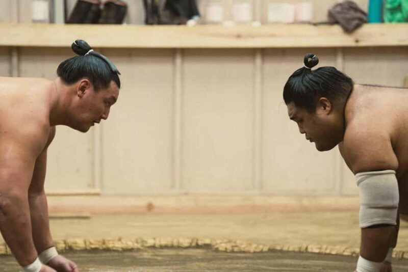 Tokyo Sumo Morning Training/ Sumo Practice with Wrestlers - Practical Details and How to Make the Most of It
