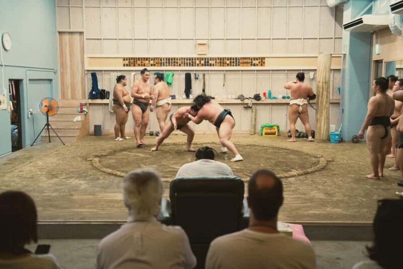 Tokyo Sumo Morning Training/ Sumo Practice with Wrestlers - The Sum Up