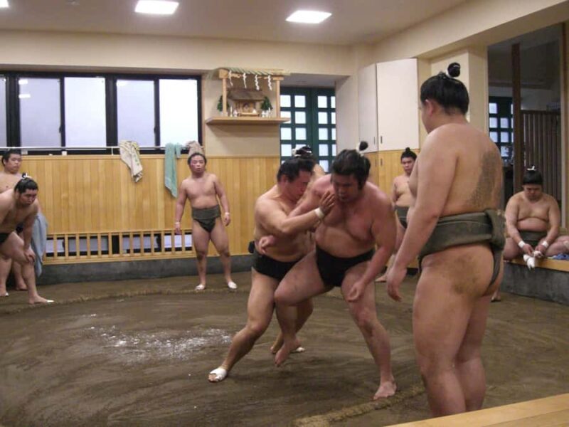 Tokyo: Sumo Morning Training Watching EXP. with Sumo Guide - An In-Depth Look at the Sumo Morning Training Tour