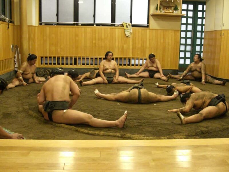 Tokyo: Sumo Morning Training Watching EXP. with Sumo Guide - Final Thoughts