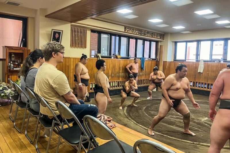 Tokyo: Sumo Practice Tour with Ring-Side Seat and Photoshoot - The Itinerary in Detail