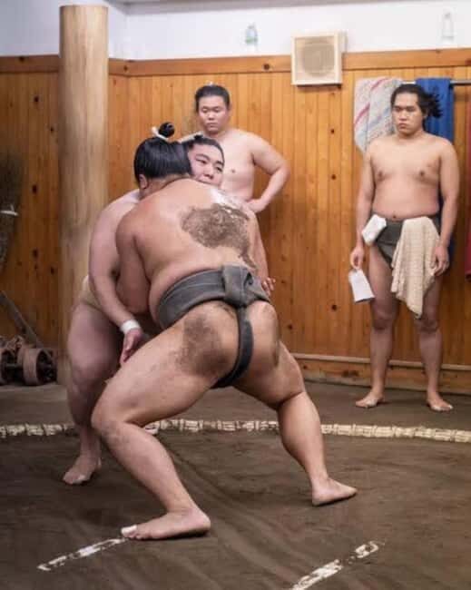 Tokyo: Sumo Show and Experience in Shinjuku - Key Points