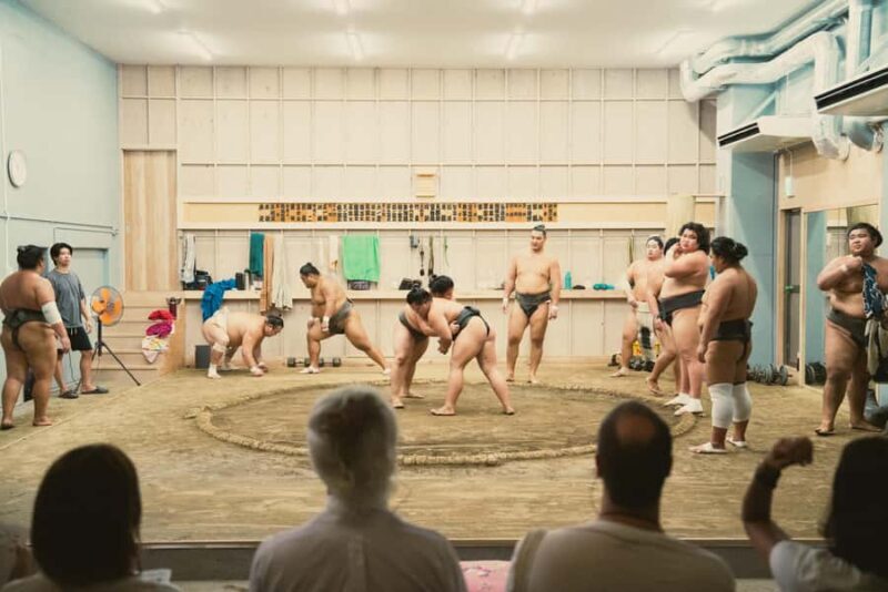 Tokyo: Sumo Training Experience with Real Sumo Wrestlers - Value for Money