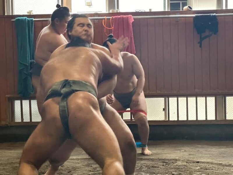 Tokyo: Sumo Wrestler Morning Practice Tour & Photos - A Deep Dive into the Experience