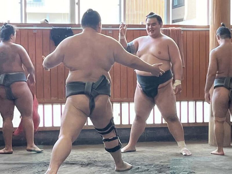 Tokyo: Sumo Wrestler Morning Practice Tour & Photos - Practical Tips for Participants