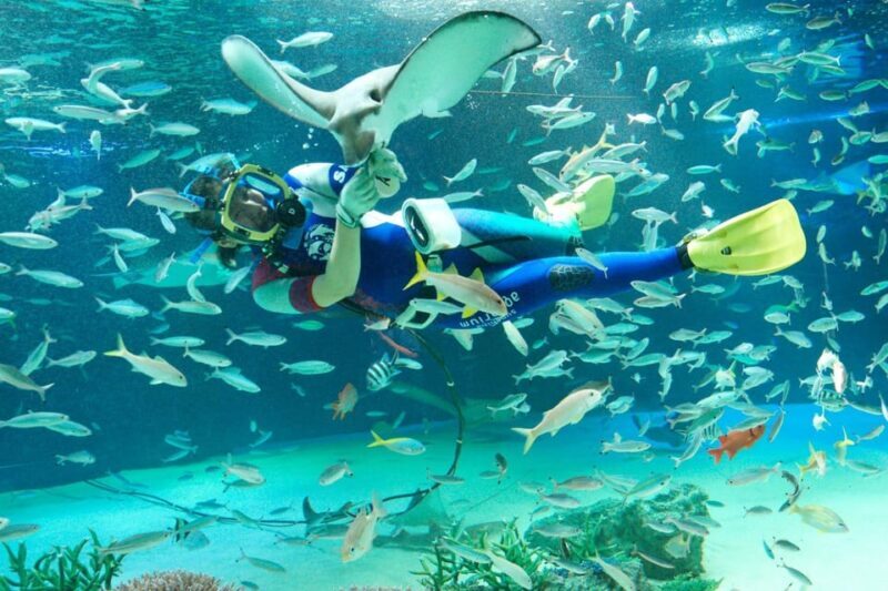 Tokyo: Sunshine Aquarium Entry Ticket - Exploring the Experience: What to Expect at Sunshine Aquarium