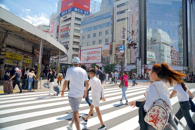 Tokyo Tailored 4 Hours Private Guided Tour - An In-Depth Look at the Tokyo Tailored 4-Hour Tour