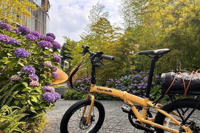 TOKYO: Tailored Gardens Tour with Pro Gardener by E-bike FULL-DAY - Who Should Consider This Tour?