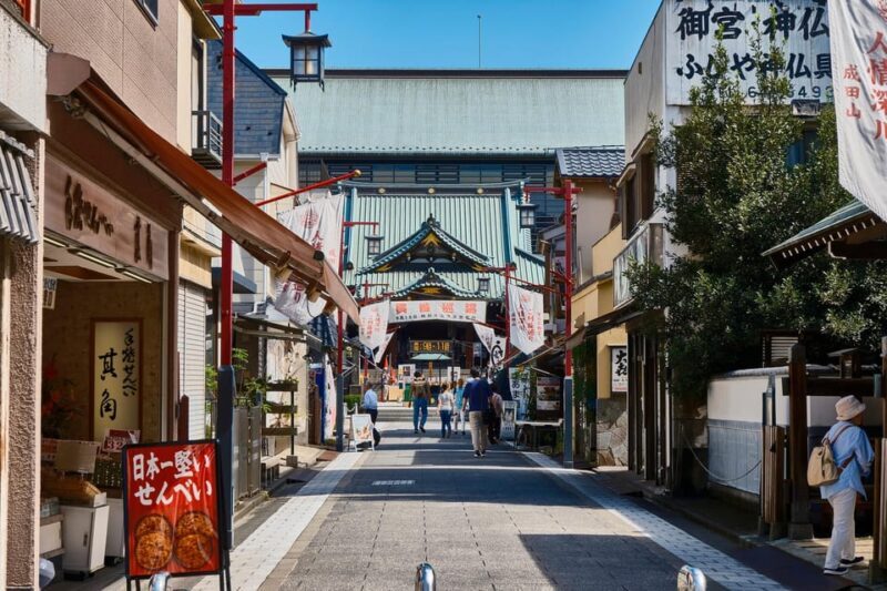 Tokyo: Taste the downtown echo and enjoy Japanese culture - Key Points