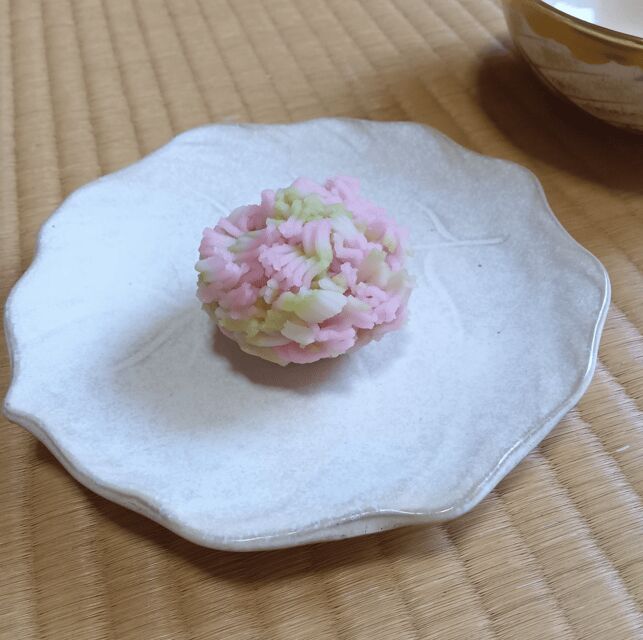 Tokyo: Tea Ceremony Experience in a small tea room - Final Thoughts