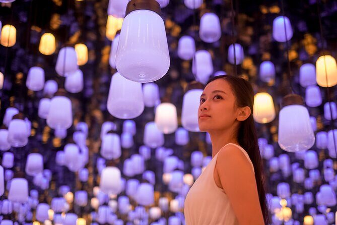 Tokyo: teamLab, Azabudai Hills & National Art Center Tour - Who Will Love This Tour?