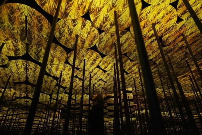 Tokyo: teamLab Borderless Museum Admission Ticket - FAQ