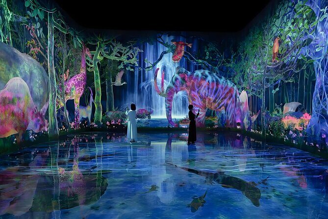 Tokyo: TeamLab Planets Admission & 24-Hour Subway Ticket - Key Points