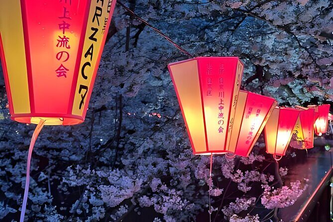 Tokyo: TeamLab Planets Admission & 24-Hour Subway Ticket - A Closer Look at the Experience