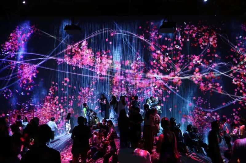 Tokyo: TeamLab Planets & Odaiba Gundam Bay Tour - Introduction