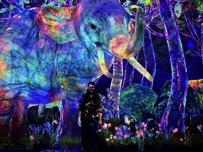 Tokyo: TeamLab Planets & Odaiba Gundam Bay Tour - What Makes This Tour Special?
