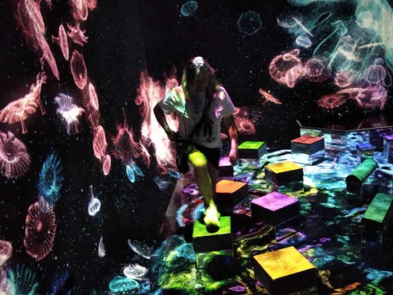 Tokyo: TeamLab Planets & Odaiba Gundam Bay Tour - FAQ