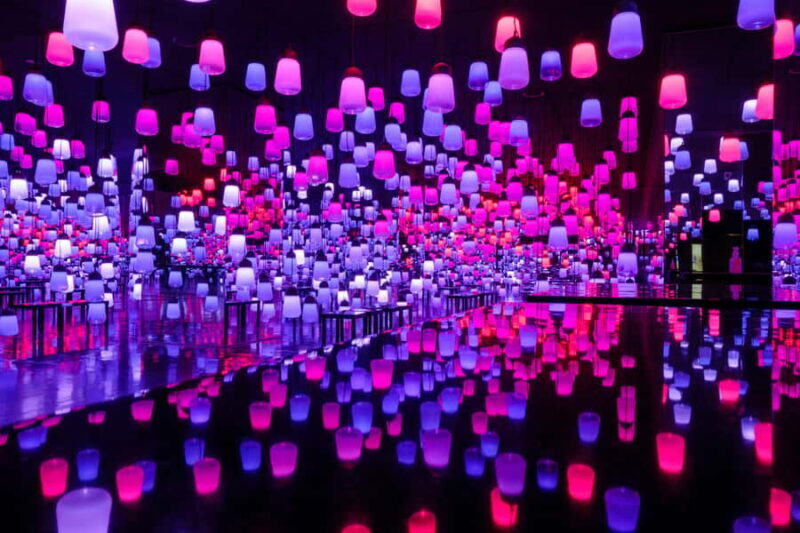 Tokyo: teamLab Planets & Toyosu Fish Market Guided Tour - The Value and Who Will Enjoy This Tour